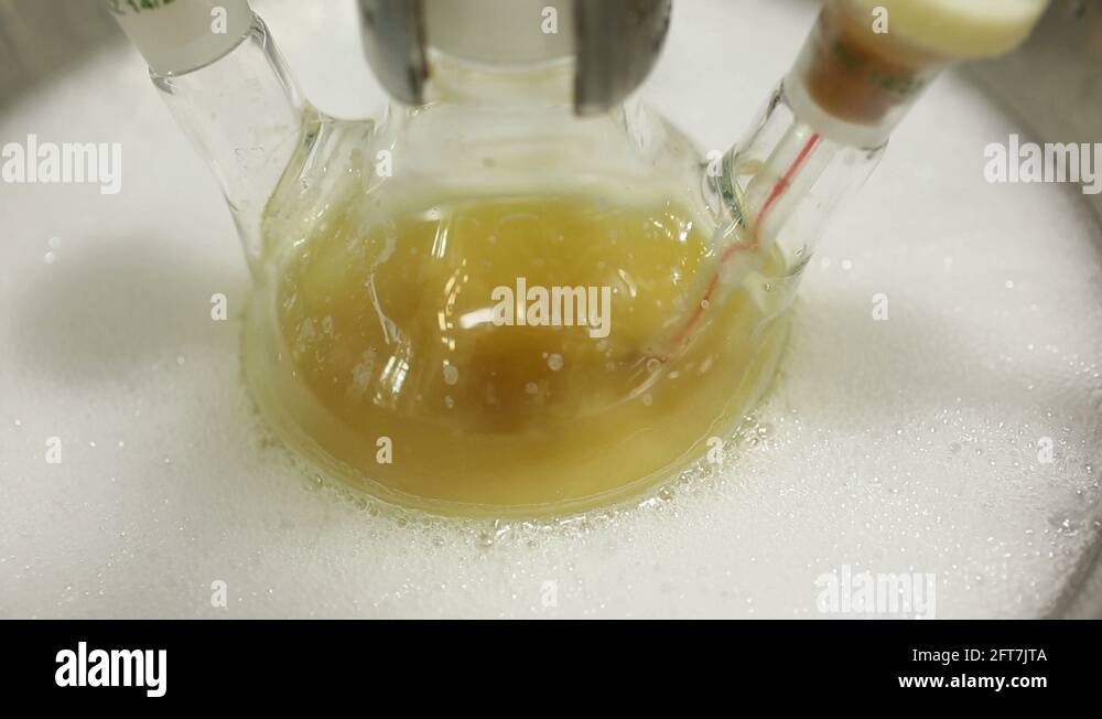 Experiment chemistry, extract plants, bubbles research laboratory ...