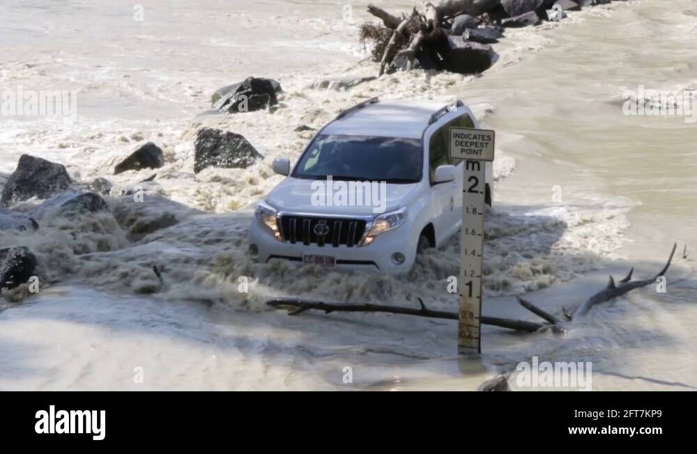Tree blocking river Stock Videos & Footage - HD and 4K Video Clips - Alamy