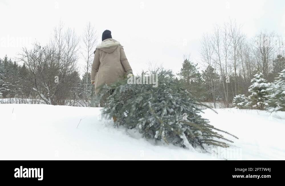 Dragging tree Stock Videos & Footage - HD and 4K Video Clips - Alamy Dragging tree Stock Videos & Footage - HD and 4K Video Clips - Alamy