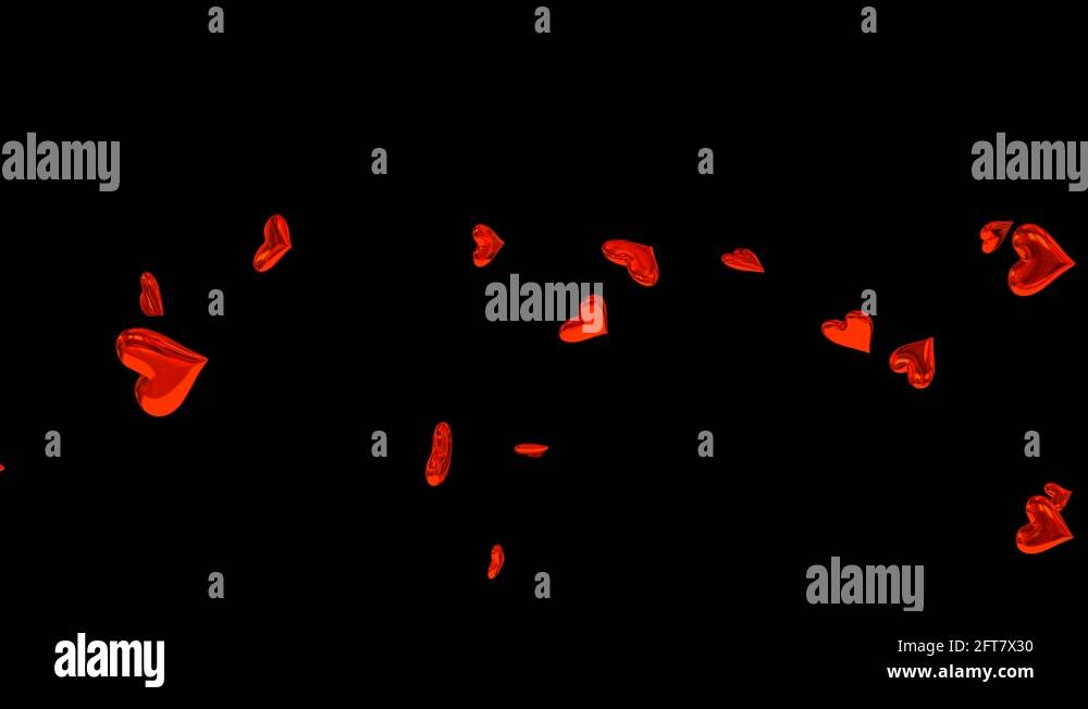 Animated exploding, dancing hearts against transparent background in 4k ...