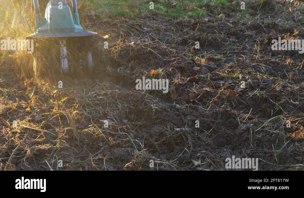 Preparing vegetable plot Stock Videos & Footage - HD and 4K Video Clips ...