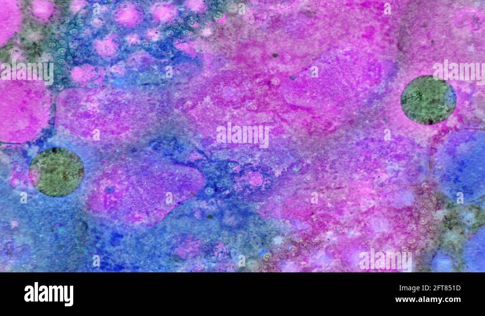 Microscopic View of Ink in Water Stock Video Footage - Alamy