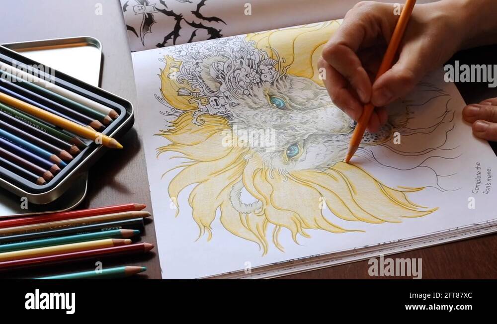 Colouring in book Stock Videos & Footage - HD and 4K Video Clips - Alamy
