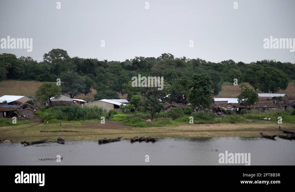 Mali africa forest Stock Videos & Footage - HD and 4K Video Clips - Alamy