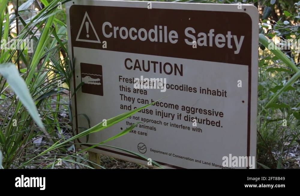 Crocodile safety sign Stock Videos & Footage - HD and 4K Video Clips ...