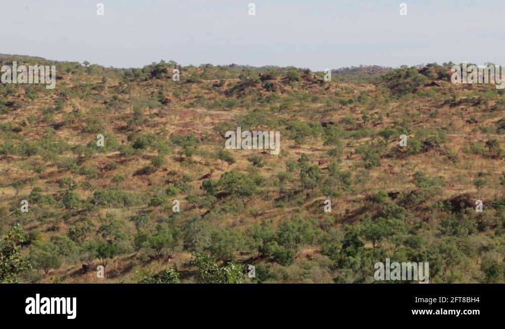 Australian maps Stock Videos & Footage - HD and 4K Video Clips - Alamy