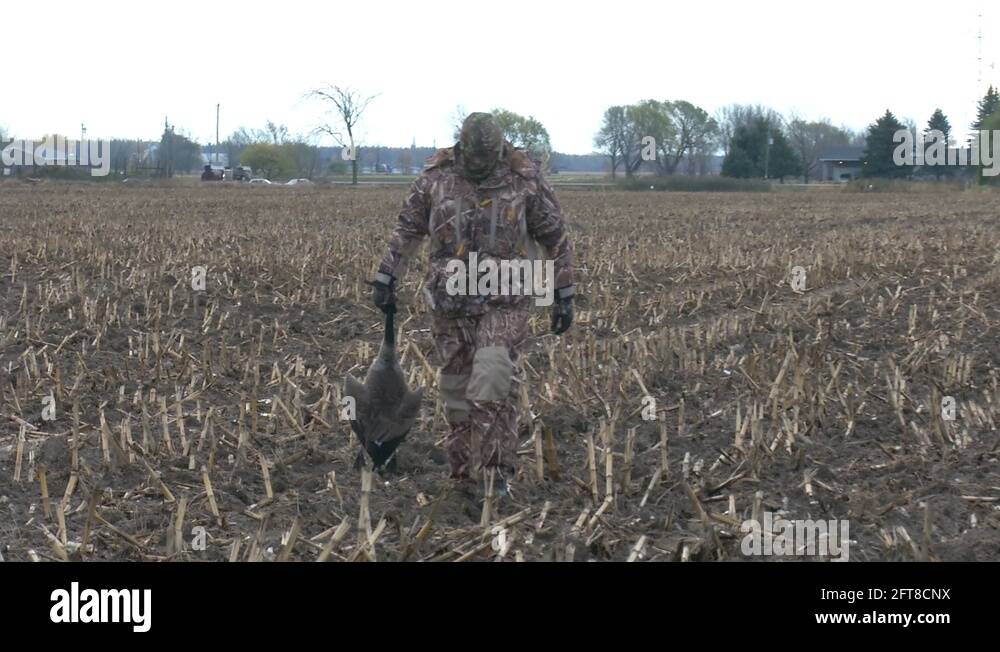 Hunter kill Stock Videos & Footage - HD and 4K Video Clips - Alamy