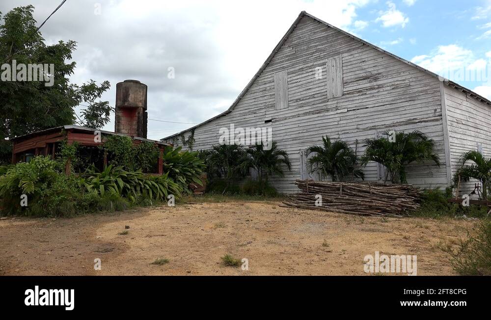 Farm tobacco curing shed Stock Videos & Footage - HD and 4K Video Clips ...