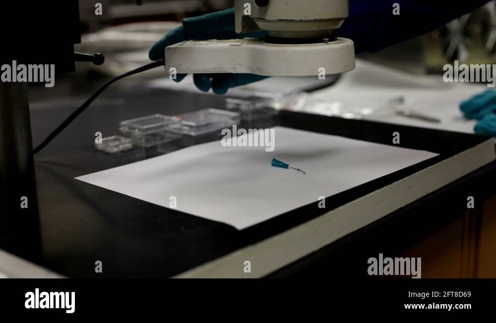 Gloved Hands under Microscope Stock Video Footage - Alamy