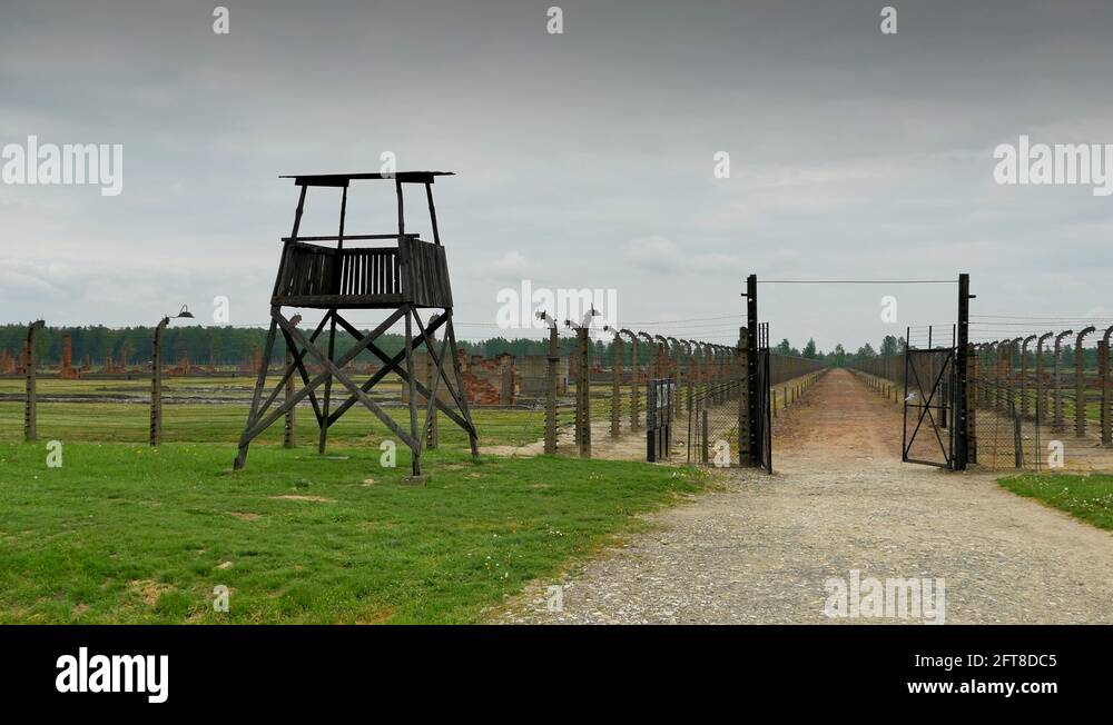 Fence watch tower auschwitz birkenau Stock Videos & Footage - HD and 4K ...