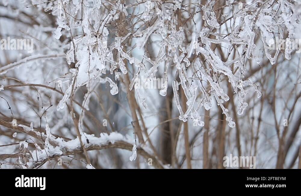 Rain ice Stock Videos & Footage - HD and 4K Video Clips - Alamy