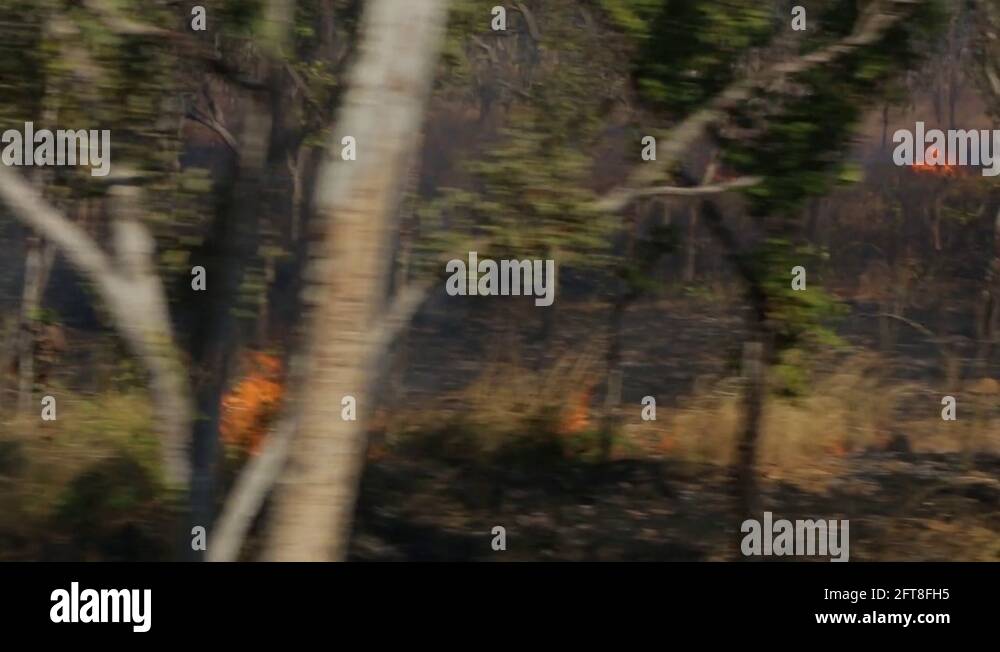 Fire landscape Stock Videos & Footage - HD and 4K Video Clips - Alamy