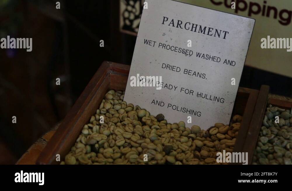Coffee parchment Stock Videos & Footage - HD and 4K Video Clips - Alamy