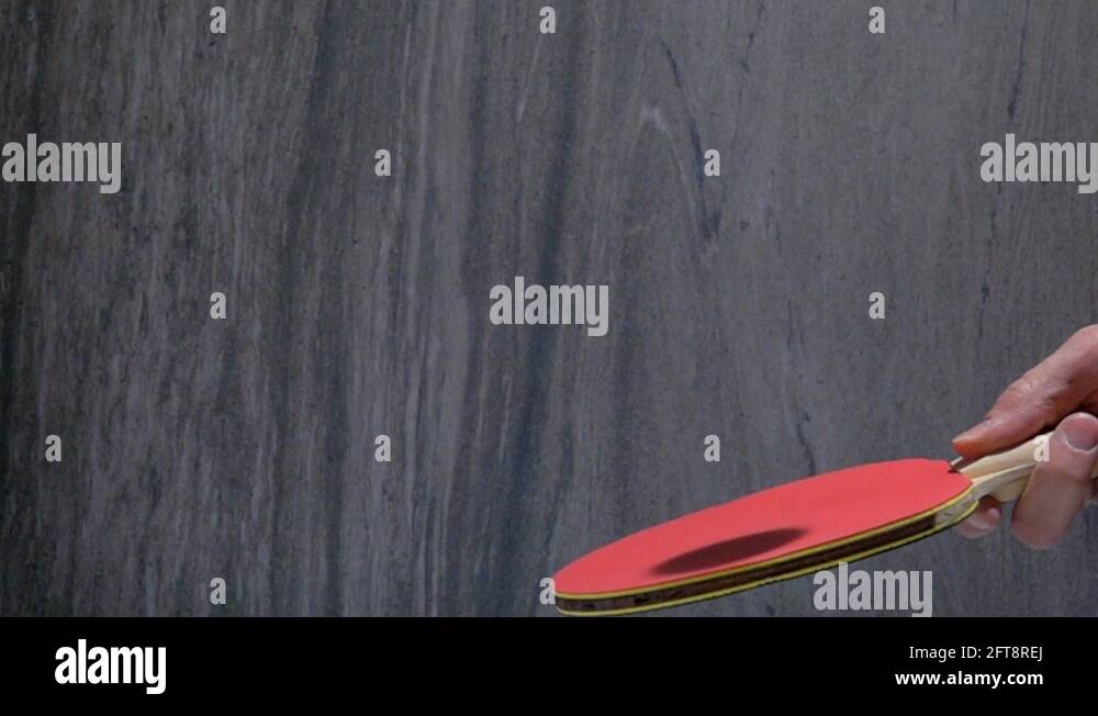 Hand holding table tennis racket and bouncing ping pong ball Stock ...