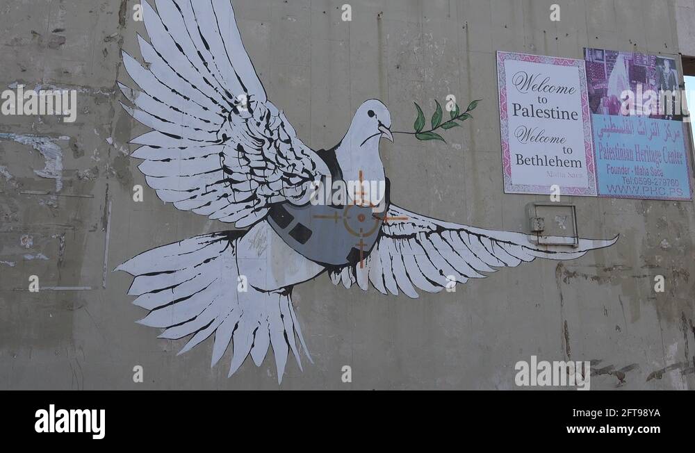 Peace pigeon Stock Videos & Footage - HD and 4K Video Clips - Alamy