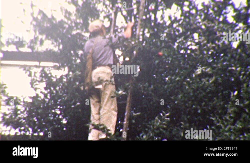 Black Man Farm Worker African American Florida 1950s Vintage Film Home ...
