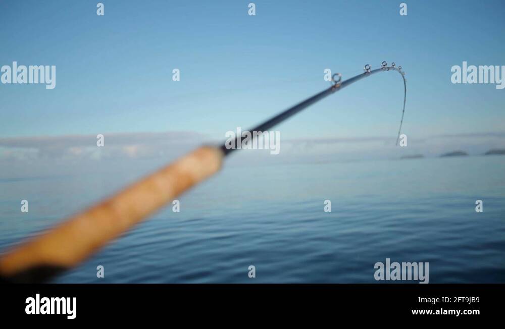 Bait casting pole Stock Videos & Footage - HD and 4K Video Clips - Alamy