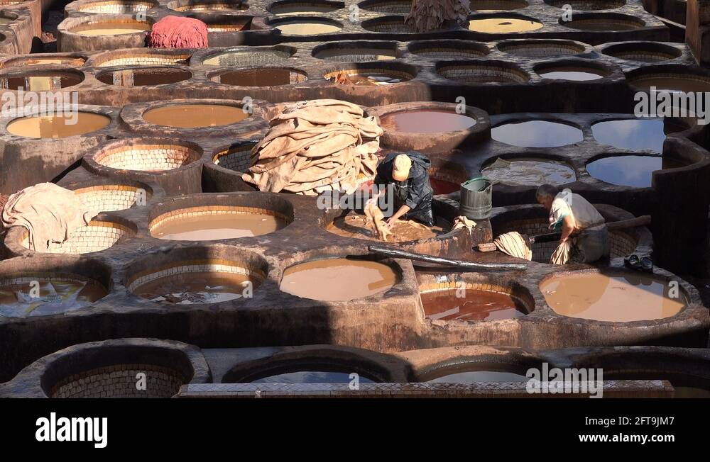 Traditional animal skin tanning Stock Videos & Footage - HD and 4K ...