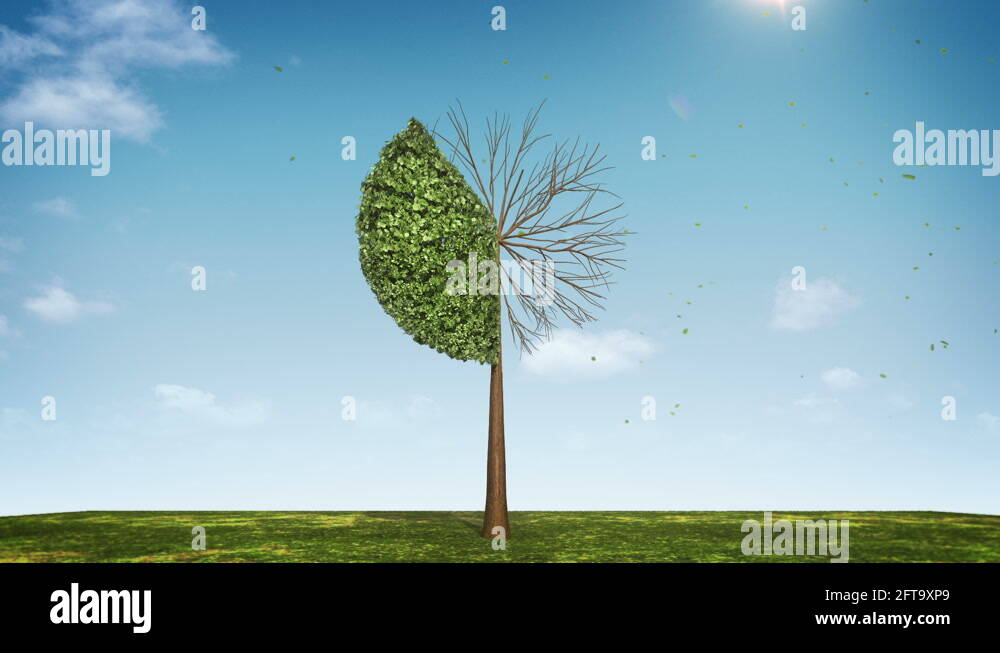 Tree pie chart Stock Videos & Footage - HD and 4K Video Clips - Alamy