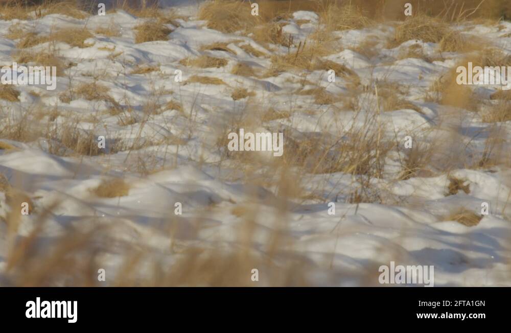 Invisible head Stock Videos & Footage - HD and 4K Video Clips - Alamy