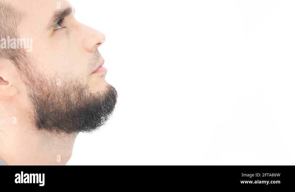 Bearded head man profile Stock Videos & Footage - HD and 4K Video Clips ...