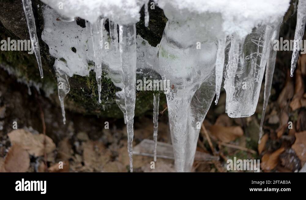 Giant foot Stock Videos & Footage - HD and 4K Video Clips - Alamy