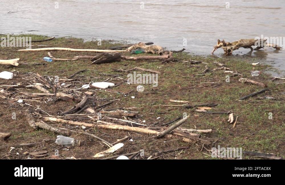 garbage on side of waterway river polluted pollution Stock Video ...