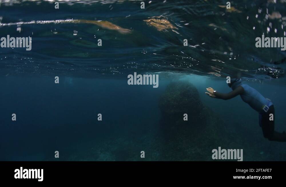 Split underwater Stock Videos & Footage - HD and 4K Video Clips - Alamy