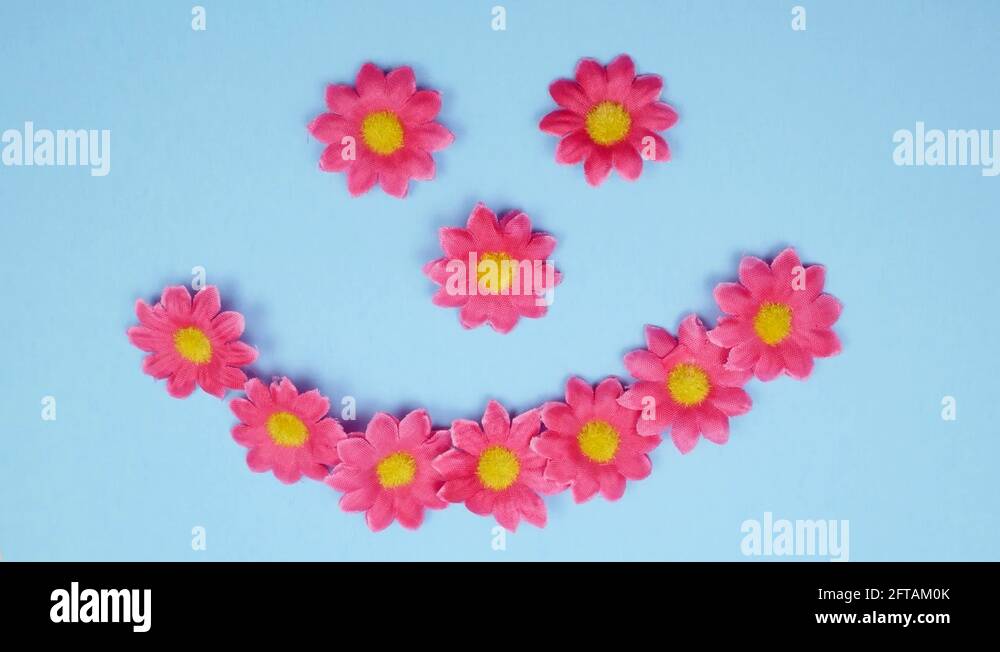 Smiling animated flower Stock Videos & Footage - HD and 4K Video Clips ...