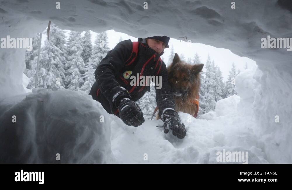 Snow hole Stock Videos & Footage - HD and 4K Video Clips - Alamy