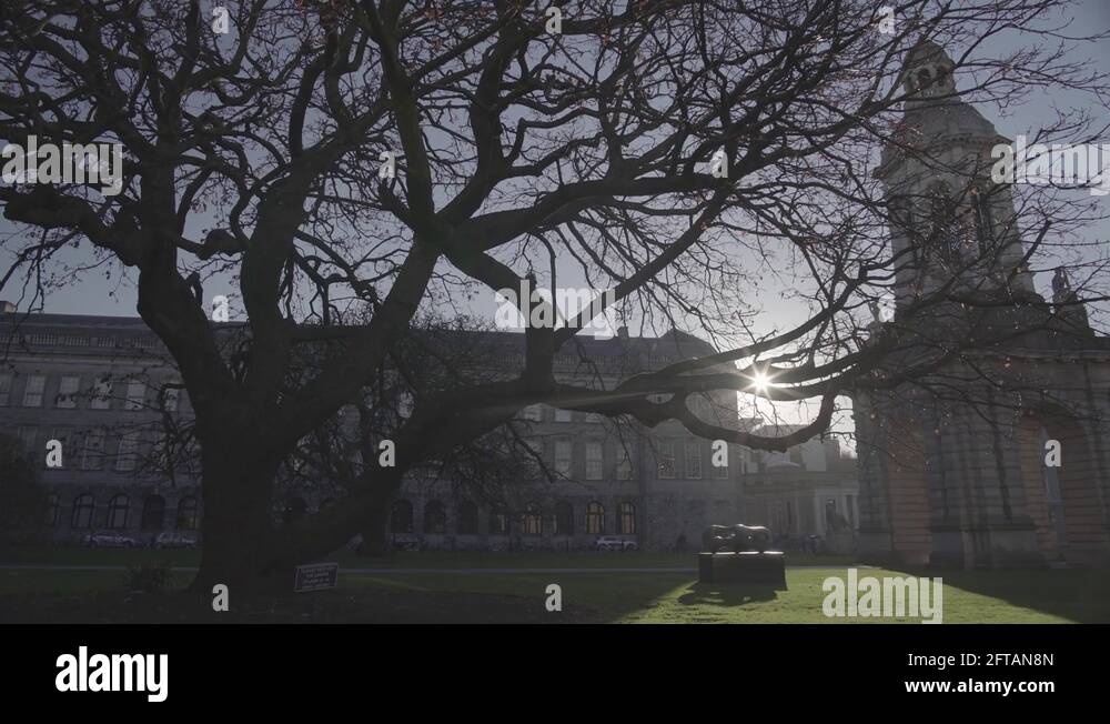 In the old library at trinity college Stock Videos & Footage - HD and ...