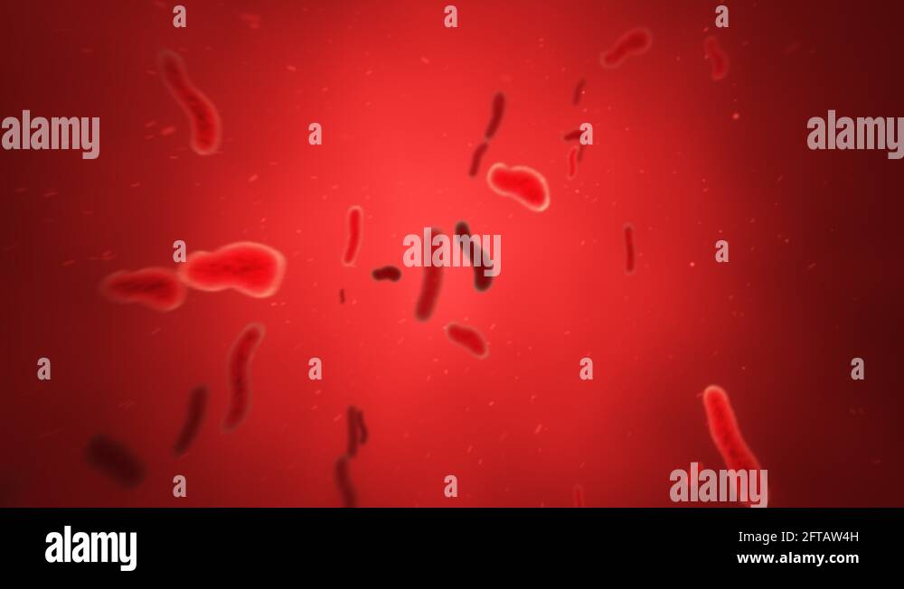 Red bacteria Stock Videos & Footage - HD and 4K Video Clips - Alamy