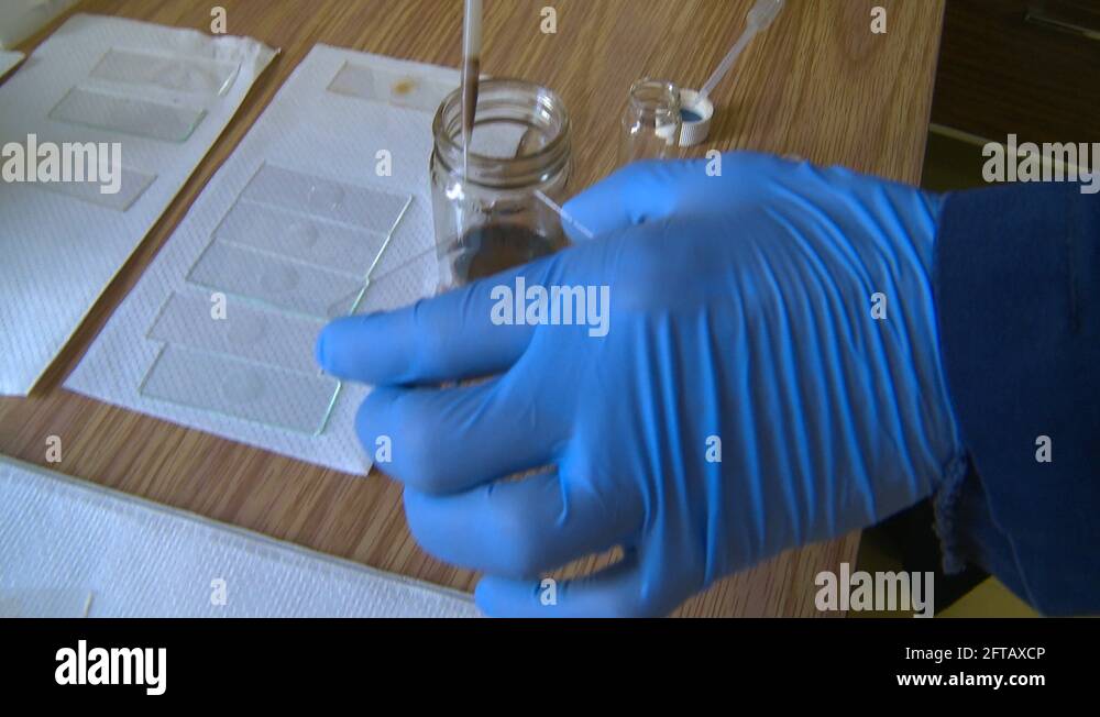 Test strip Stock Videos & Footage - HD and 4K Video Clips - Alamy