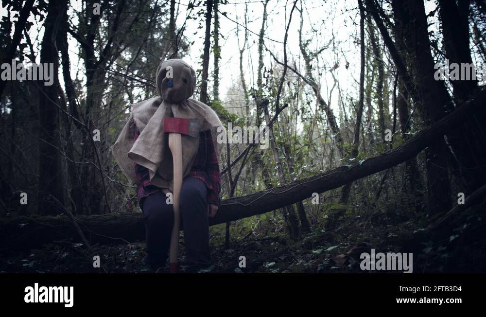 Enchantress forest Stock Videos & Footage - HD and 4K Video Clips - Alamy