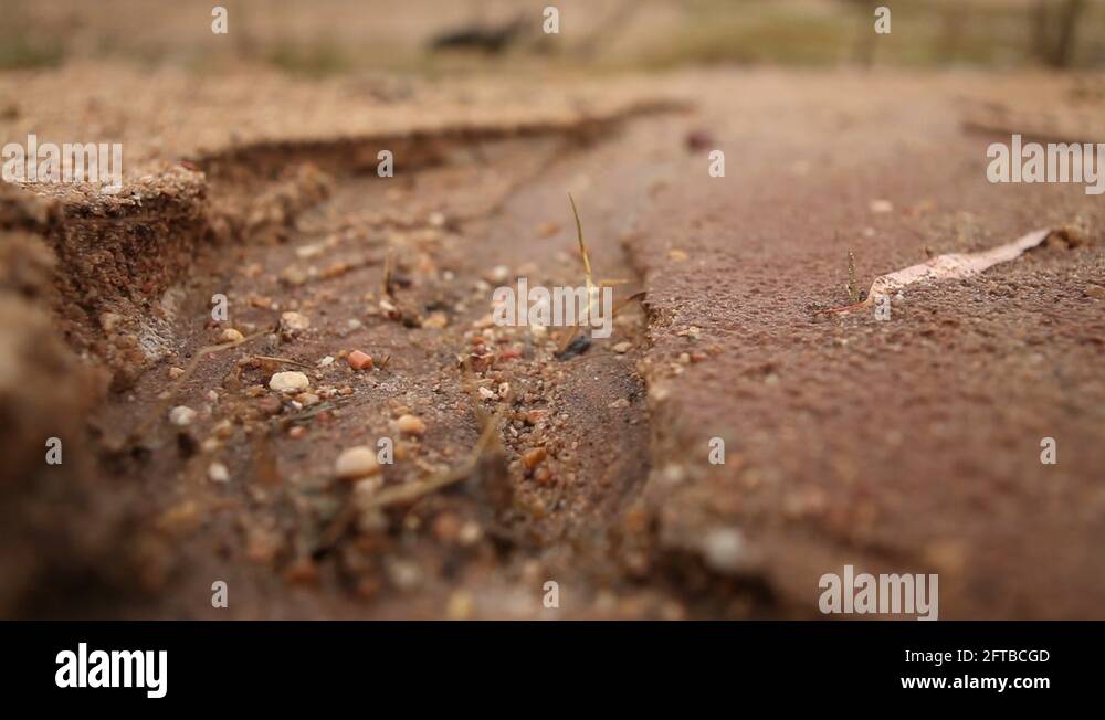 Overflow flooding form rain Stock Video Footage - Alamy