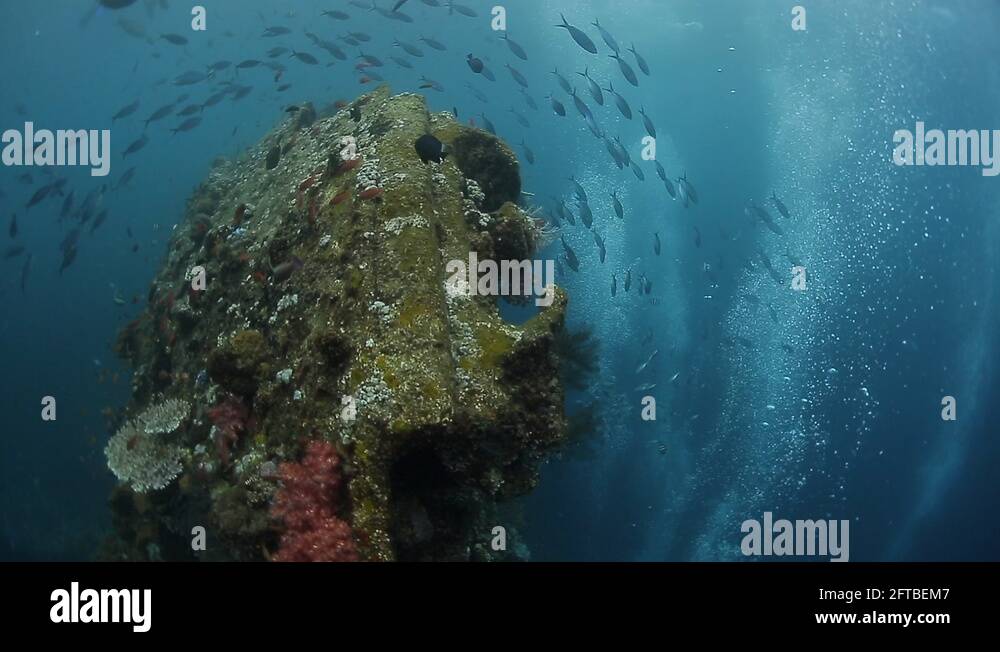 Underwater and corrosion Stock Videos & Footage - HD and 4K Video Clips ...