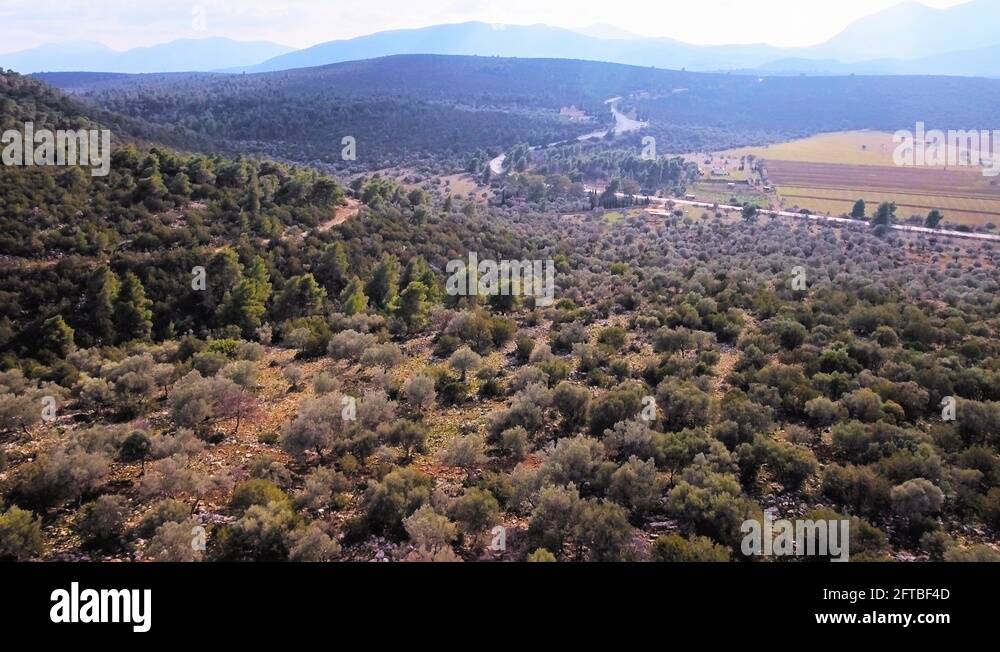 Mediterranean region farming Stock Videos & Footage - HD and 4K Video ...
