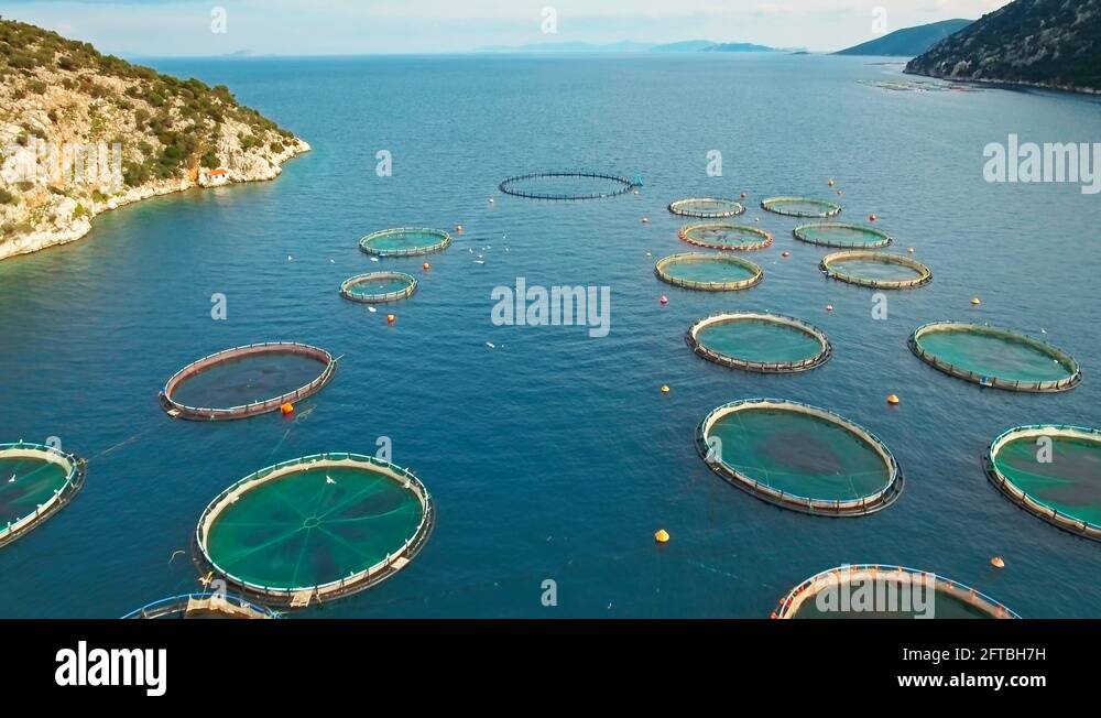 Floating pools Stock Videos & Footage - HD and 4K Video Clips - Alamy