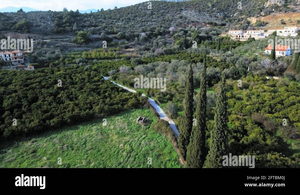 Plantations green Stock Videos & Footage - HD and 4K Video Clips - Alamy