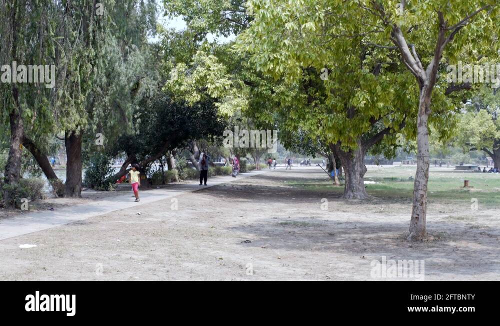 Indian family with children walks in India Gate park, windy day, New ...