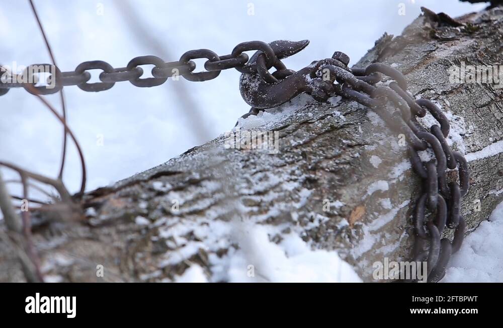 Deforestation cut out Stock Videos & Footage - HD and 4K Video Clips ...