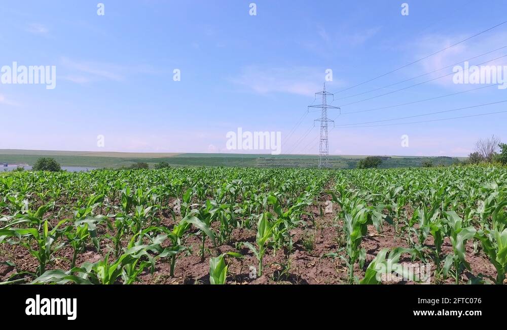 Soil blowing Stock Videos & Footage - HD and 4K Video Clips - Alamy
