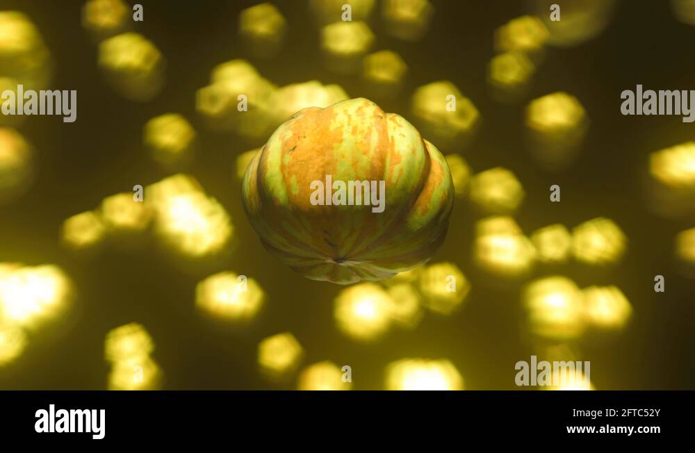 Space squash Stock Videos & Footage - HD and 4K Video Clips - Alamy