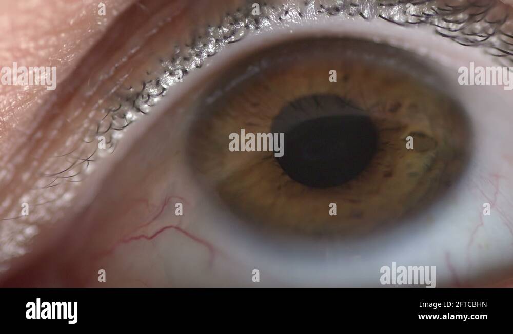 Human eye ball Stock Videos & Footage - HD and 4K Video Clips - Alamy