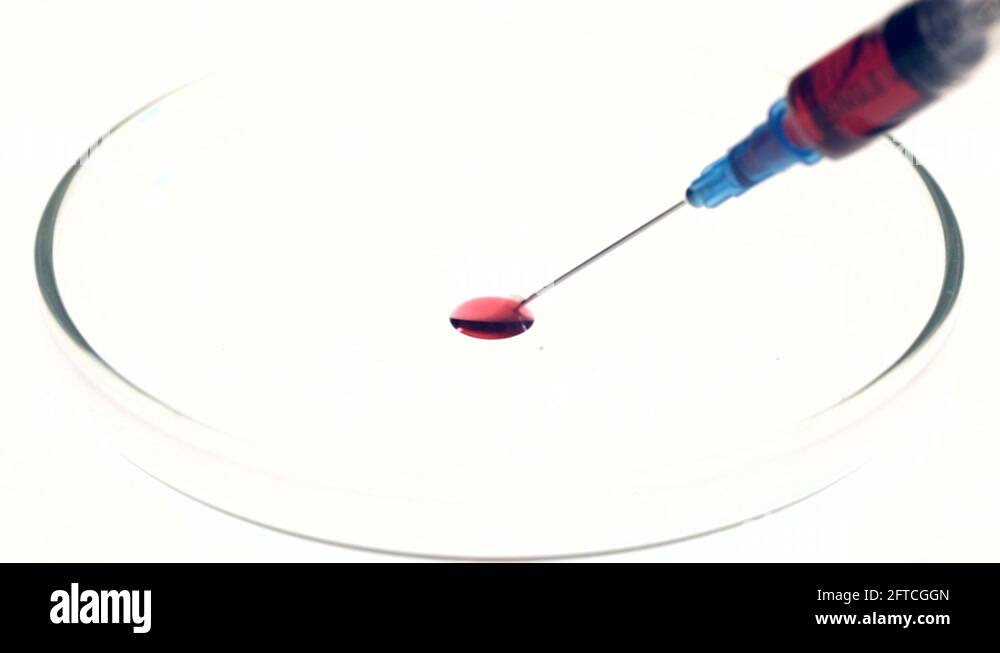 red liquid drips from the syringe into a Petri dish Stock Video Footage ...