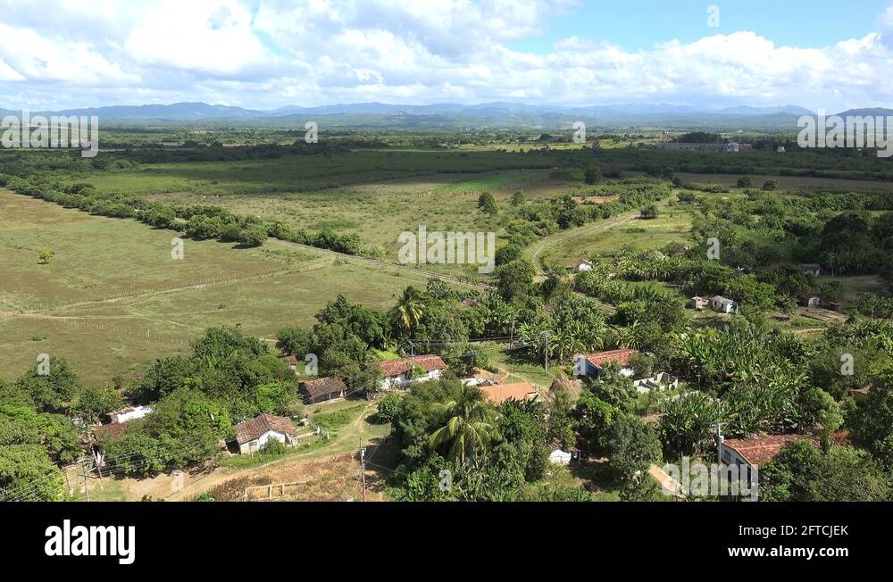 Cuba sugar field Stock Videos & Footage - HD and 4K Video Clips - Alamy