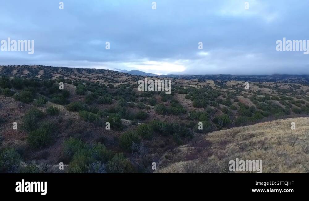 Cedar trees aerial Stock Videos & Footage - HD and 4K Video Clips - Alamy