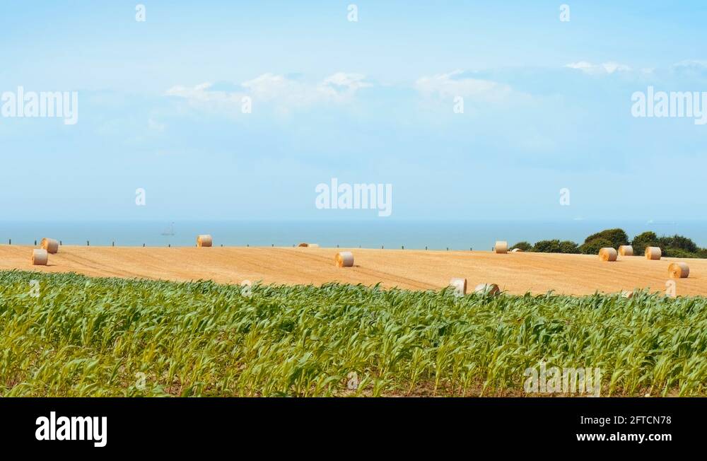 Corn maize harvest france Stock Videos & Footage - HD and 4K Video ...