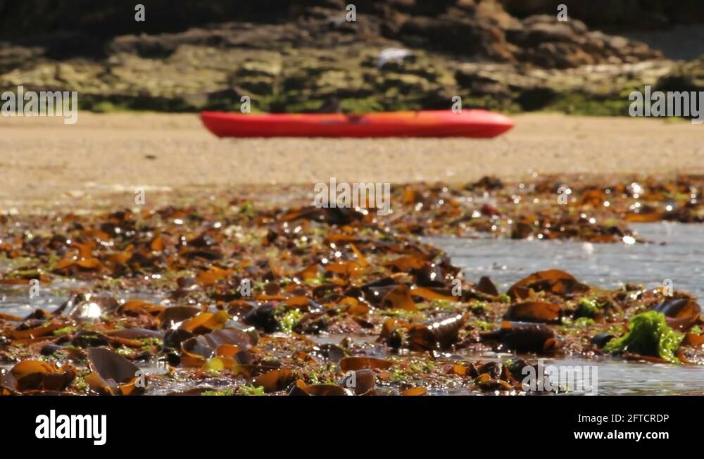 Go sailing Stock Videos & Footage - HD and 4K Video Clips - Alamy