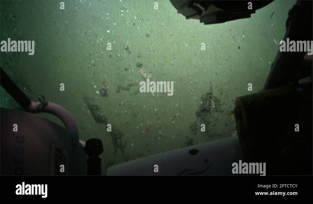 Cocos island costa Stock Videos & Footage - HD and 4K Video Clips - Alamy